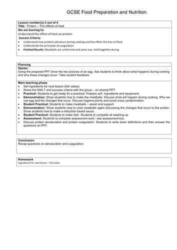 Protein (Nutrition) - 7 Hour Fully Resourced Unit of Work | Teaching ...