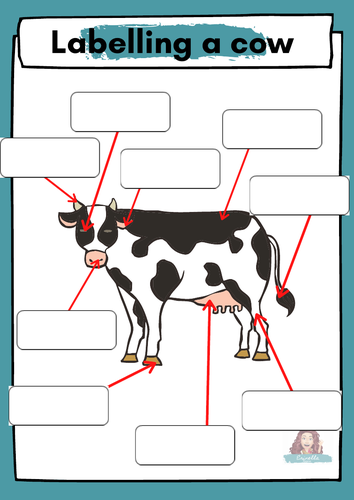Labelling a farm animal | Teaching Resources