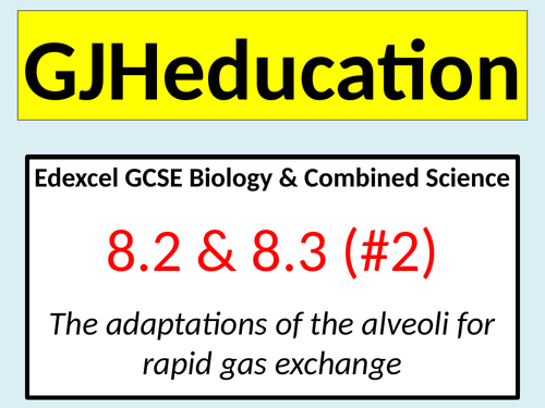 Features of the alveoli (Edexcel GCSE Biology & Combined Science ...