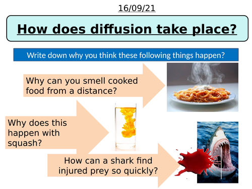 1.3.4 - Diffusion - AQA Synergy | Teaching Resources