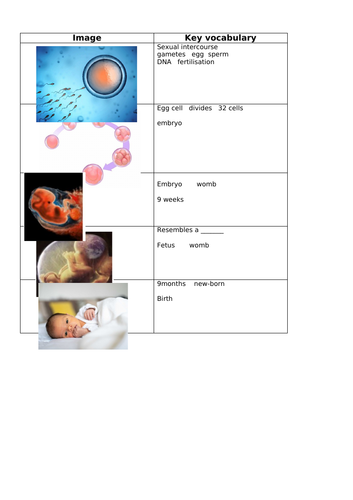 Puberty & Sex Education (9 week unit) | Teaching Resources