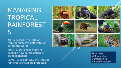 Rainforests | Teaching Resources
