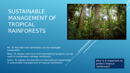 Rainforests | Teaching Resources