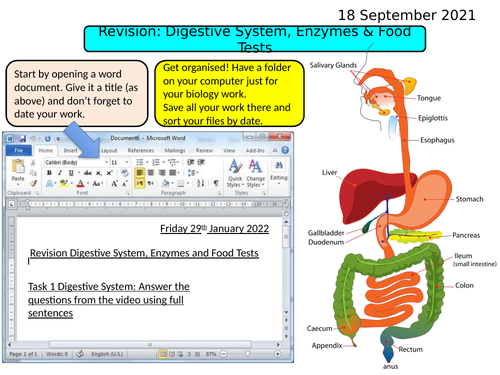 Revision: Digestive System, Enzymes & Food Tests AQA GCSE Biology ...