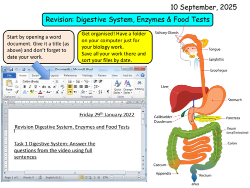 Revision: Digestive System, Enzymes & Food Tests AQA GCSE Biology ...