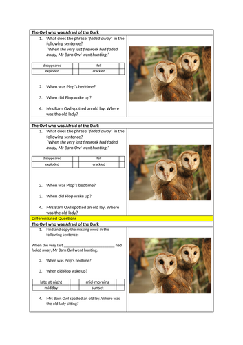 'The owl who was afraid of the dark' Comprehension Questions ...