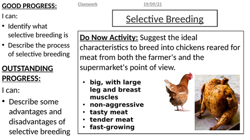 Activate 3 - B1 - New Technology - Selective Breeding | Teaching Resources