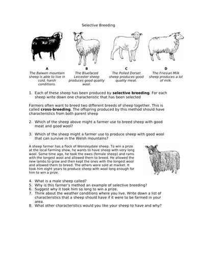Activate 3 - B1 - New Technology - Selective Breeding | Teaching Resources
