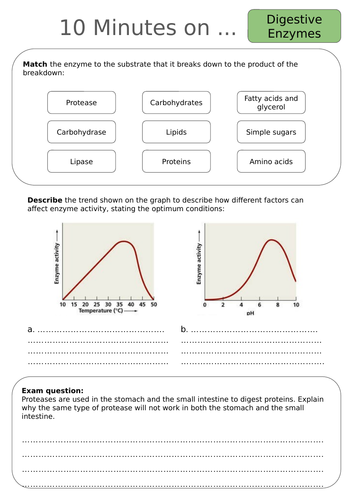 Activate 3 - B1 - New Technology - Industrial Enzymes | Teaching Resources
