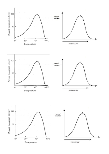 Activate 3 - B1 - New Technology - Complete Topic | Teaching Resources