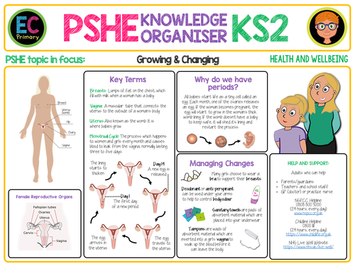 PSHE Knowledge Organiser - Puberty | Teaching Resources