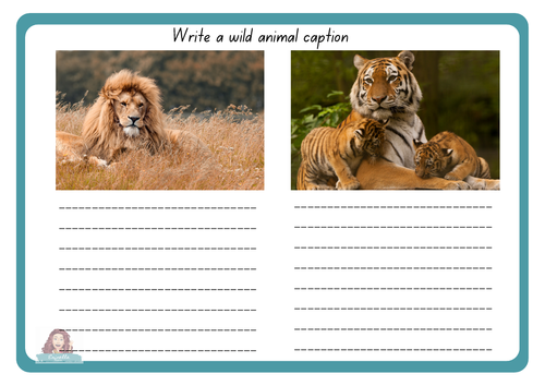 Wild animal captions | Teaching Resources