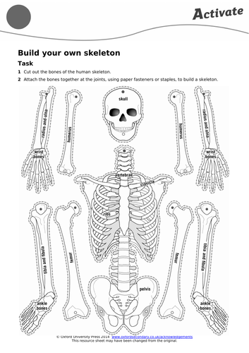 activate-one-b2-structure-and-function-of-body-systems-the