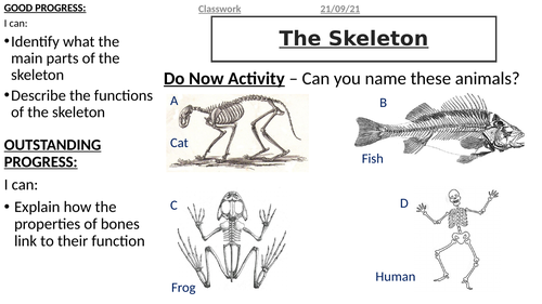 activate-one-b2-structure-and-function-of-body-systems-the