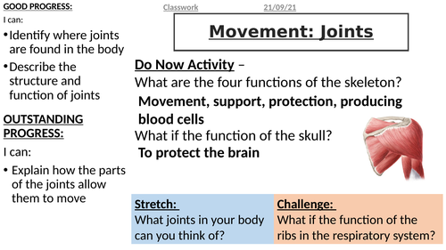 Activate One - B2 - Structure and Function of Body Systems - Movement ...