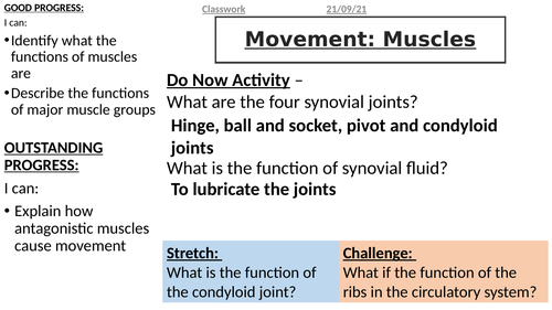 activate-one-b2-structure-and-function-of-body-systems-movement