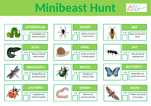 Minibeast Hunt | Teaching Resources
