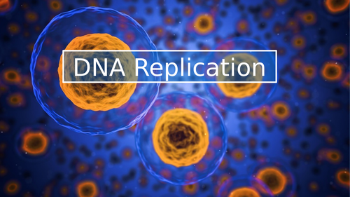 DNA Replication Powerpoint | Teaching Resources