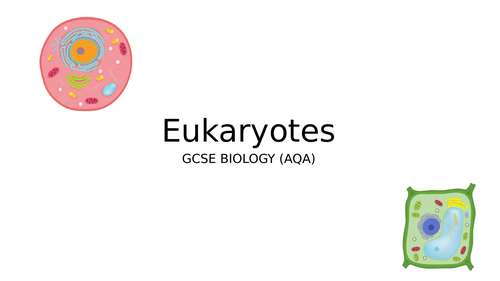 GCSE Plant and Animal cells lesson Powerpoint and worksheet | Teaching ...