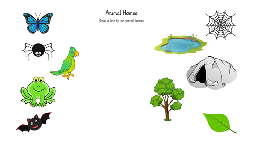 Monkey Puzzle Resources | Teaching Resources