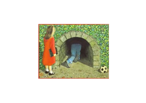 Whole Class Guided Reading - The Tunnel by Anthony Browne | Teaching ...