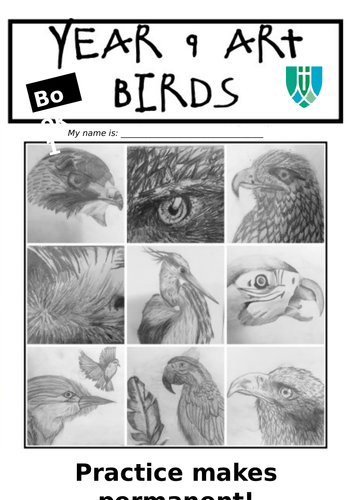 Bird Studies Art Remote Booklets Handouts Print | Teaching Resources