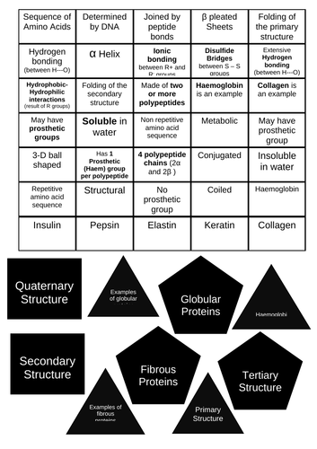 Proteins matching game (44 pieces) | Teaching Resources