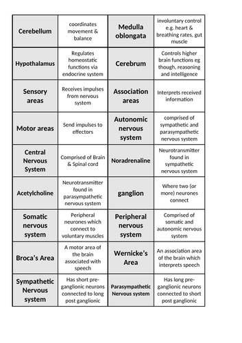 Brain matching game x 36 cards | Teaching Resources