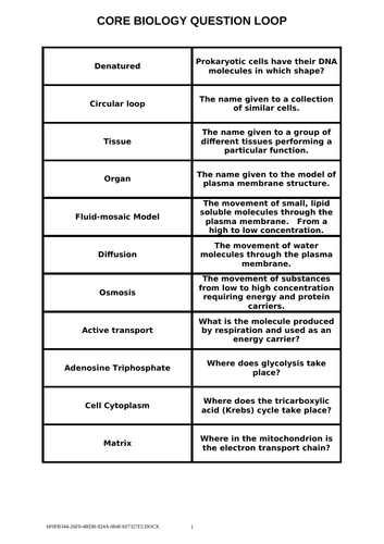 Topic Recap Biology Dominoes - 26 cards | Teaching Resources