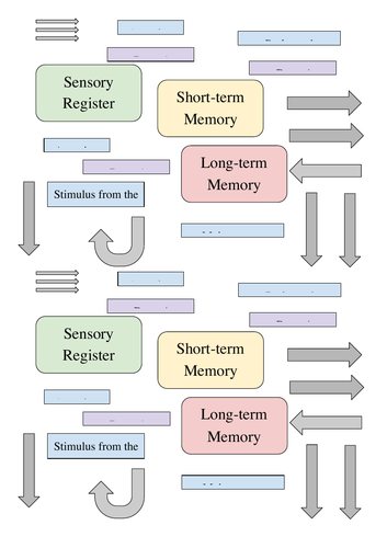 AQA GCSE Psychology - Memory Unit 1.1 | Teaching Resources