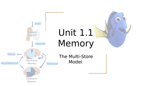AQA GCSE Psychology - Memory Unit 1.1 | Teaching Resources