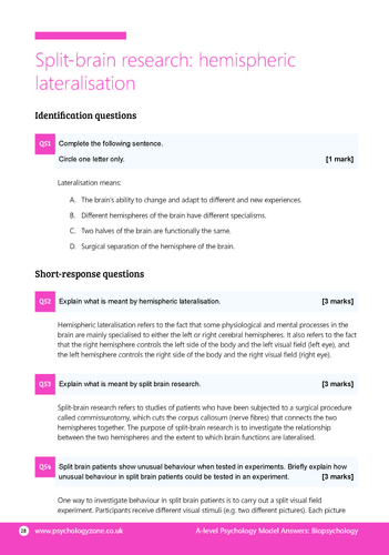 AQA Psychology BRILLIANT MODEL ANSWERS: Biopsychology: AS and A-level ...