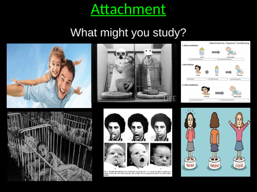 AQA A-Level Psychology Attachment – Caregiver-Infant Interactions | Teaching Resources