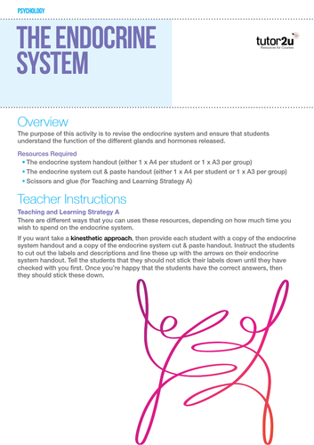 AQA A-Level Psychology Biopsychology – The Endocrine System | Teaching ...