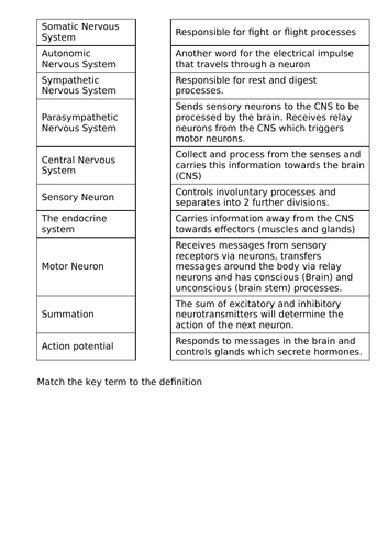 AQA A-Level Psychology Biopsychology – Synaptic Transmission | Teaching ...