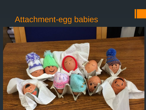 AQA A-Level Psychology Attachment - Egg Babies Project | Teaching Resources