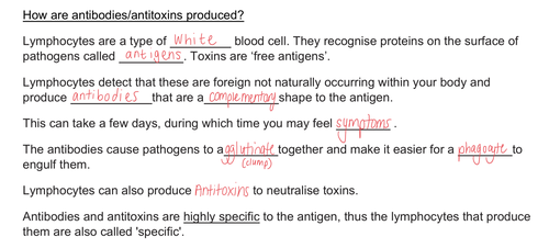 GCSE Antibody/Antitoxin production gap fill | Teaching Resources