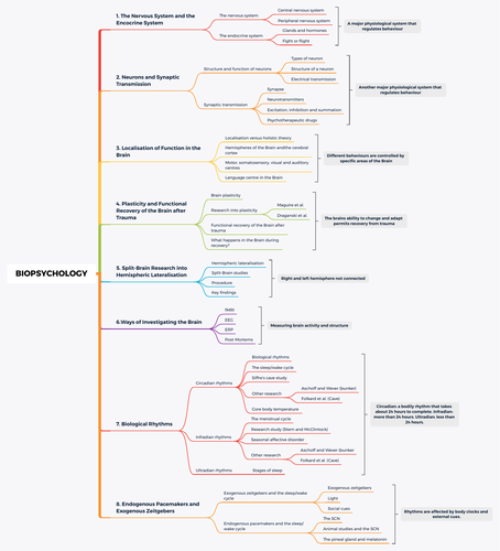 AQA A-Level Psychology Biopsychology – Module Overview | Teaching Resources
