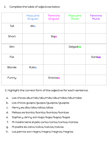 Physical Adjectives and Agreements in Spanish | Teaching Resources