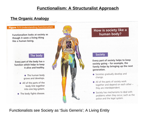 Introduction to Classic Functionalism | Teaching Resources