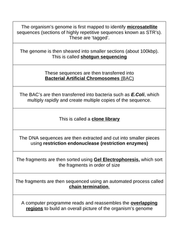 Genome Sequencing (sequence game) | Teaching Resources