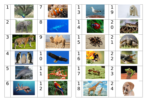 Science investigation - animal body parts | Teaching Resources