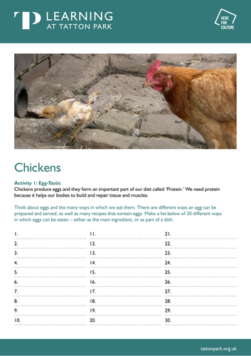 Chickens | Teaching Resources