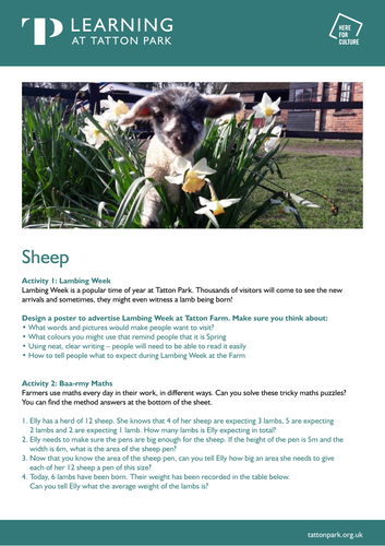 Sheep | Teaching Resources