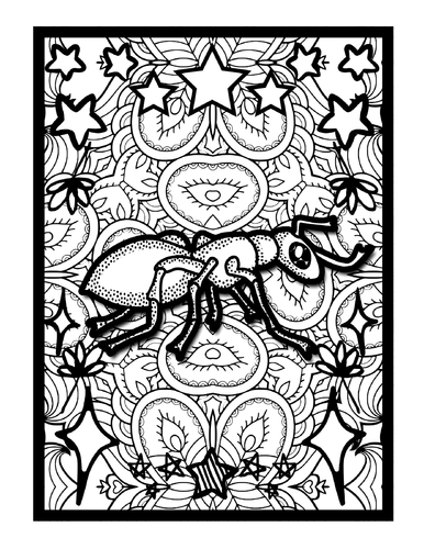 Ants Mindfulness Mandala Coloring Pages, Insects & Arachnids Coloring ...
