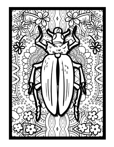 Beetles Mindfulness Mandala Coloring Pages, Insects & Arachnids ...