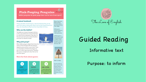 NAPLAN Preparation: Guided Reading Presentation (Pink-Pooping Penguins ...