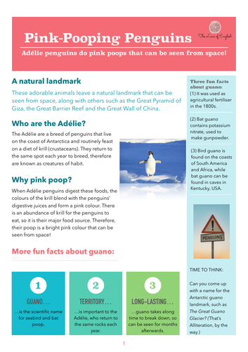 NAPLAN Preparation: Text Handout, Cloze Reading and Frayer Vocab ...