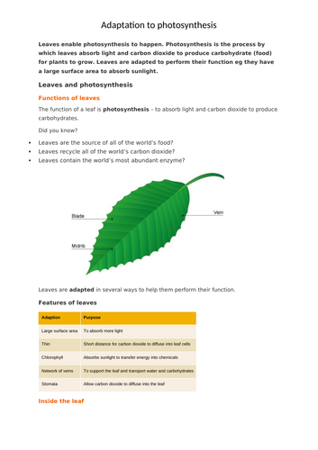 Photosynthesis intro pupil led flip learning | Teaching Resources