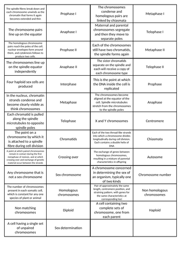 Mitosis & Meiosis Dominoes x 25 | Teaching Resources